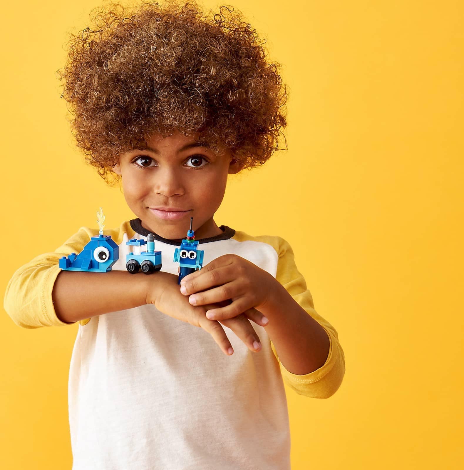 LEGO 11006 Creative Blue Bricks – Classic