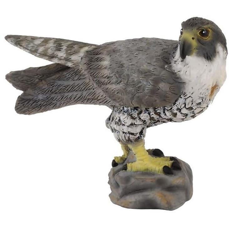 CollectA – Peregrine Falcon Bird Small Figurine – BrickBuilder ...