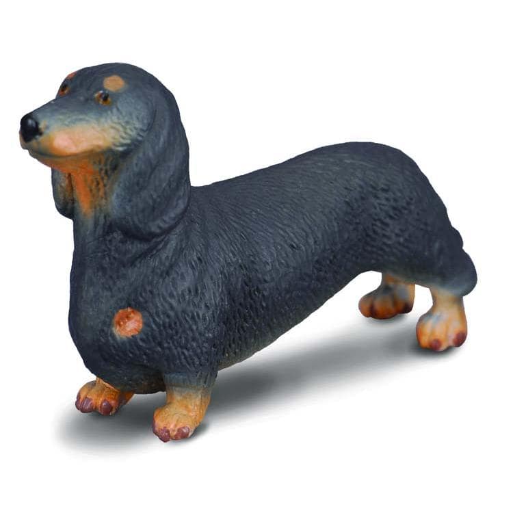 CollectA – Dachshund Dog Animal Figurine