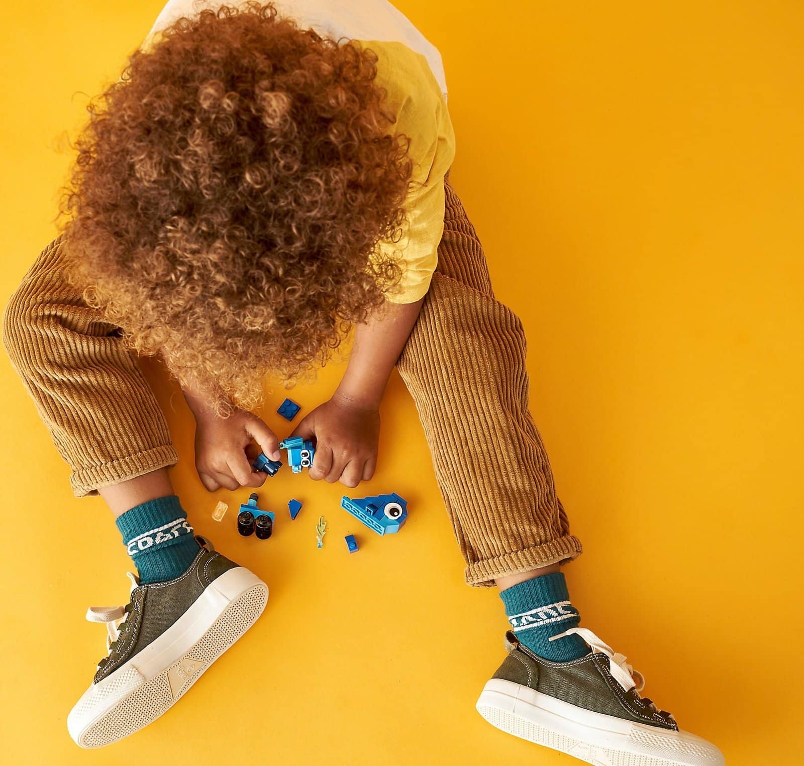 LEGO 11006 Creative Blue Bricks – Classic – BrickBuilder