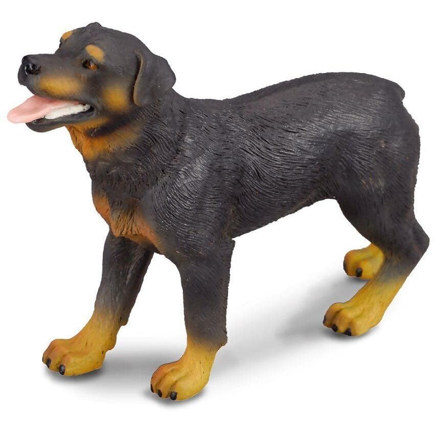 CollectA – Rottweiler Dog Large Figurine